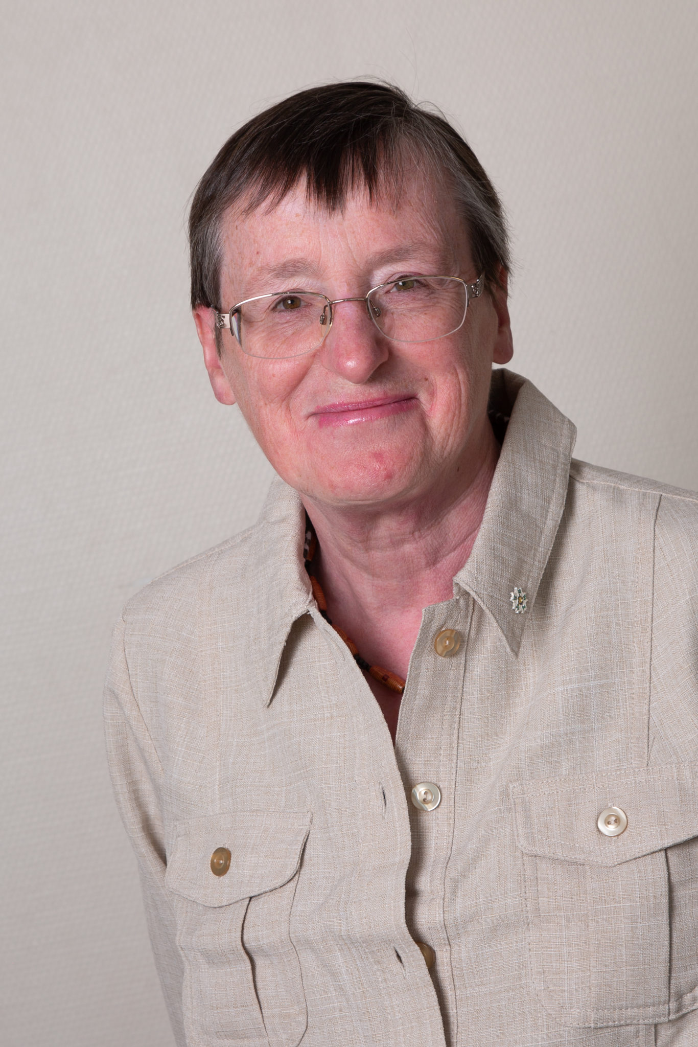 Saint-Thégonnec Loc-Eguiner | Les élus